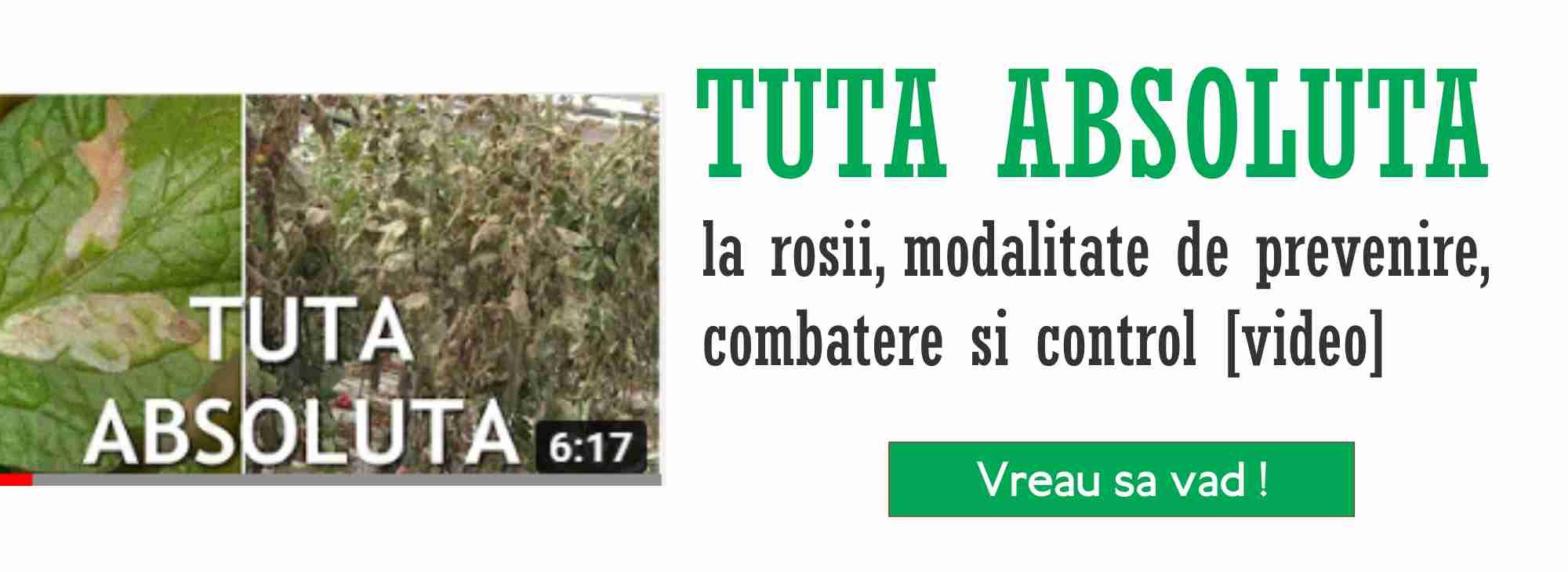 Agrosel The Seed Professional