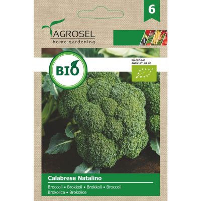 Seminte BIO Broccoli Calabrese Natalino - 2g AGROSEL