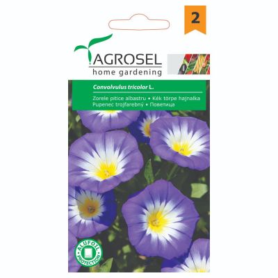 Seminte Zorele pitice albastru - 2g