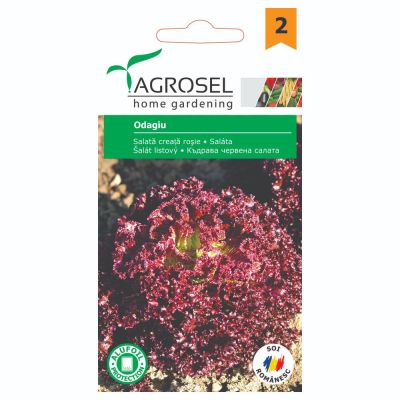 Seminte Salata creata rosie Odagiu - 1,5g