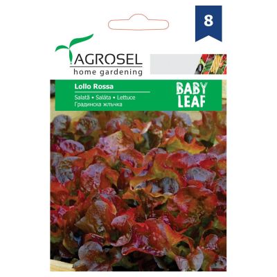 Seminte Salata creata rosie Lollo Rossa - baby leaf - 5g