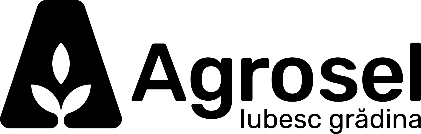 Seminte de legume Home Gardening